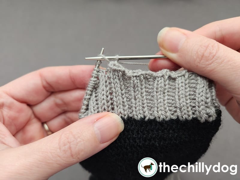 The Chilly Dog: Skillful Knitting Unleashed - Knit Confidently